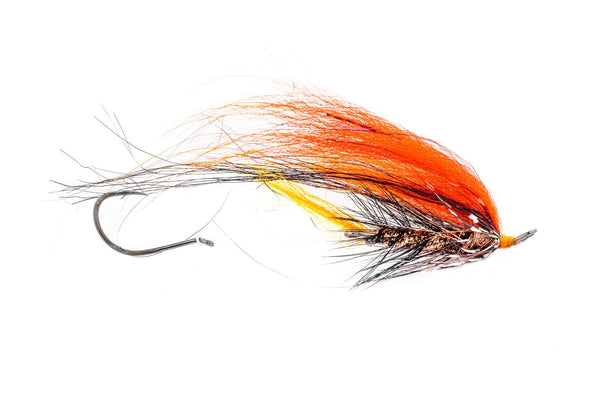 Solitude Foxee Dog - Orange/Black (3-Pack) - Fin & Fire Fly Shop